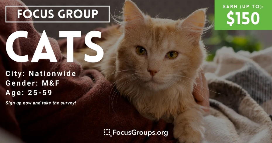 Focus Group on Cats - FocusGroups.org